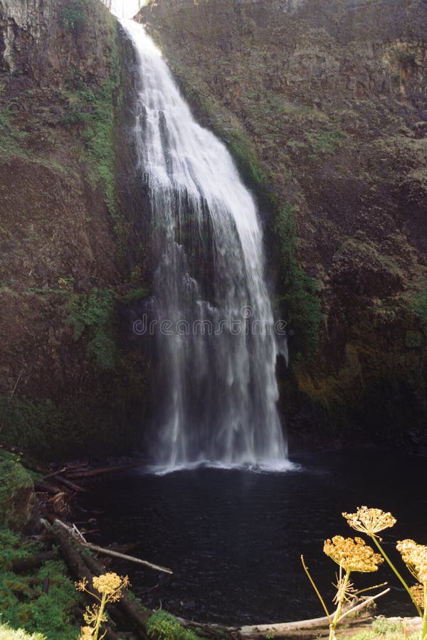 Strong Waterfall Located at a National Park in Brazil Stock Photo ...