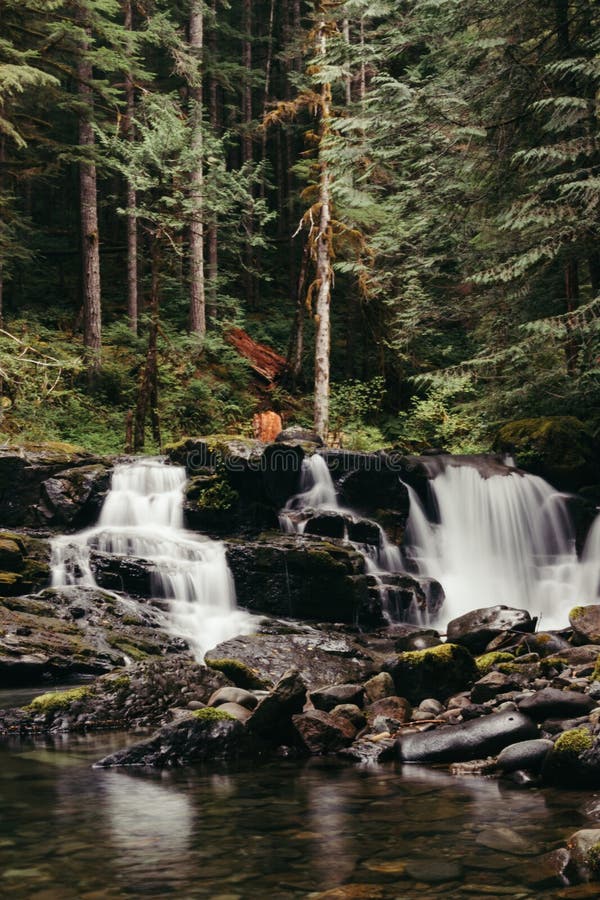 Vertical Shot of a Strong Waterfall Falling in the River in the Middle ...