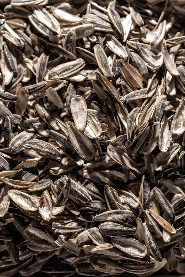 Vertical Shot of Sunflower Seed Shells Stock Image - Image of closeup ...