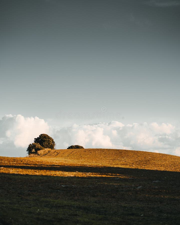 Vertical Shot of a Sunny Yellow Valley with the White Clouds in the ...