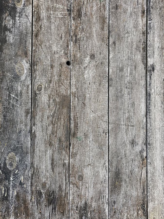 Vertical Shot of the Surface of Old Boards. Unpainted Pine Tree Planks ...