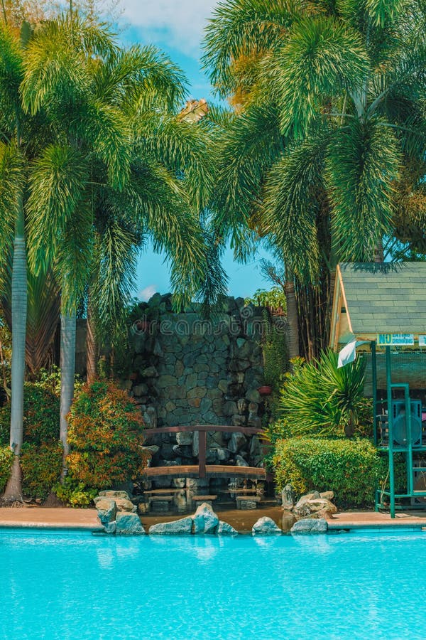 Vertical Shot of a Swimming Pool and an Artificial Waterfall and a Few ...