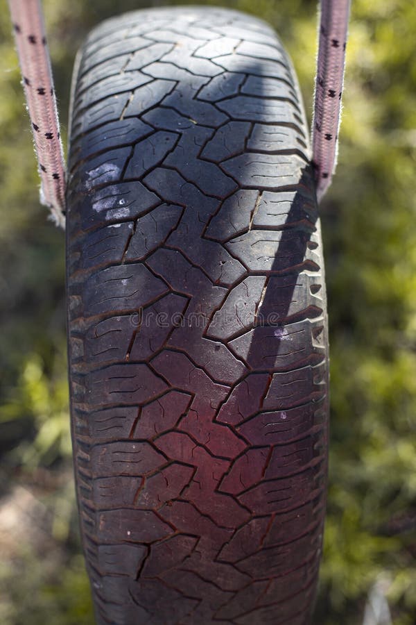 Vertical Shot of a Swing Made of a Car Tire in a Park Stock Image ...