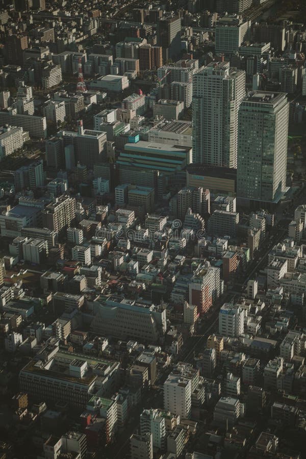 Vertical Shot of the Tokyo Skyline, Japan Stock Photo - Image of ...