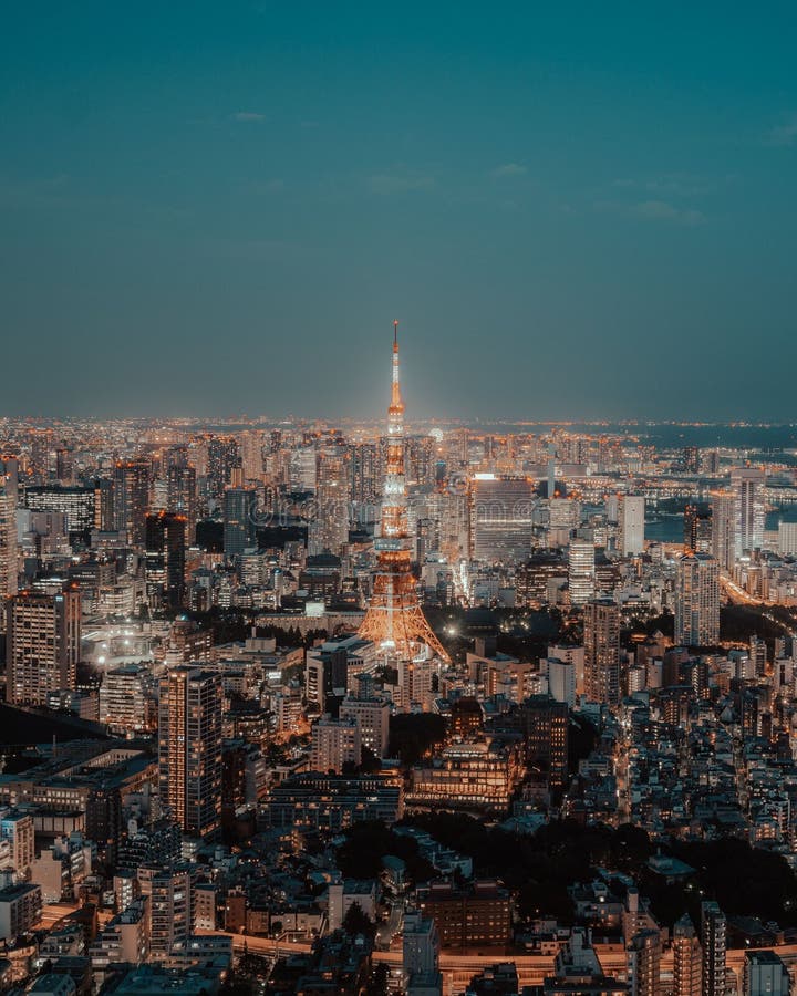 Vertical Shot of Tokyo Skyline at Night Stock Photo - Image of tower ...