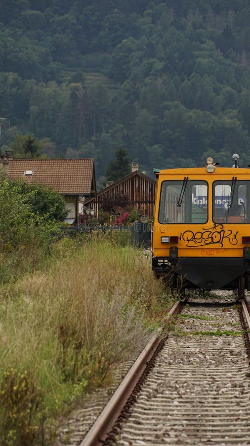 Vertical Shot of a Train on the Railway Tracks with Green Tree ...