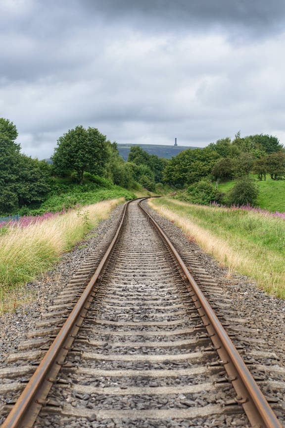 Vertical Shot of a Train Track in a Field Covered in Greenery Under a ...