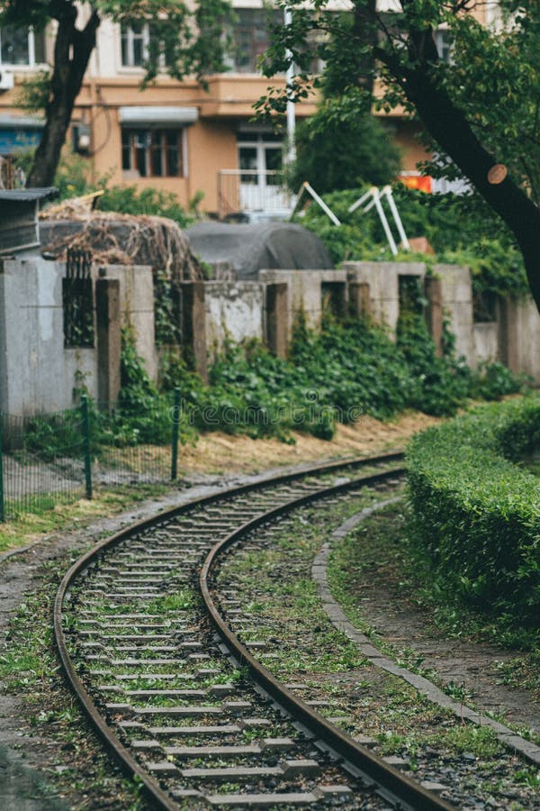 Vertical Shot of Train Tracks and Greenery Stock Image - Image of curve ...