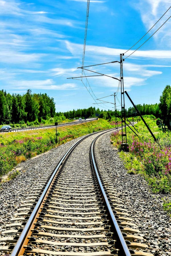 Vertical Shot of Train Tracks in the Middle of Green Plants and Flowers ...