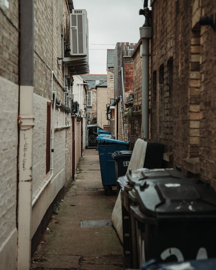 Vertical Shot of Trash Bins Behind the Building Stock Image - Image of ... Vertical Shot of Trash Bins Behind the Building Stock Image - Image of ...