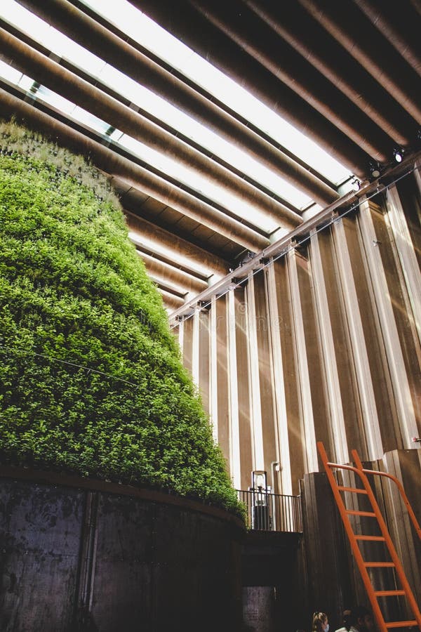 Vertical Shot of a Tree in a Building at the Netherlands Pavilion Expo ...