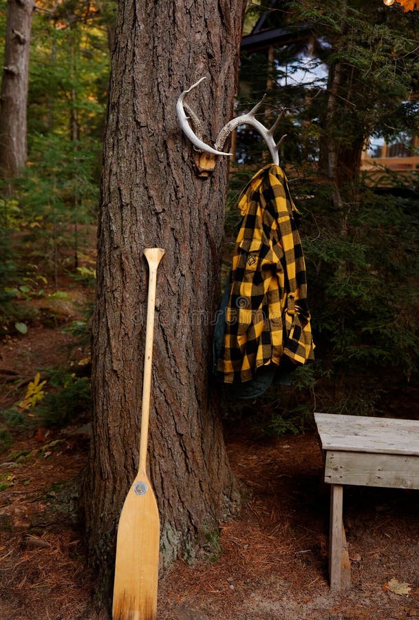Vertical Shot of a Tree with a Canoe Oar and a Plaid Shirt, and Coat ...