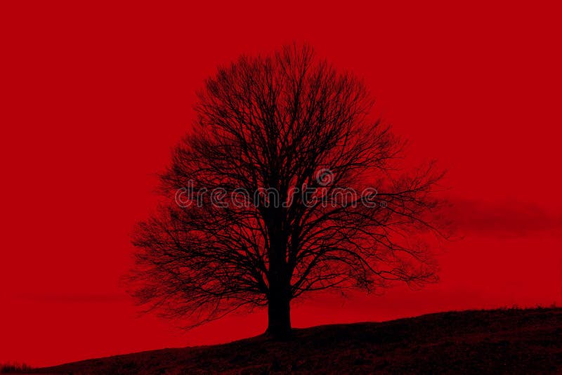 Vertical Shot of a Tree with Red Light Effects - Great for Wallpapers ...