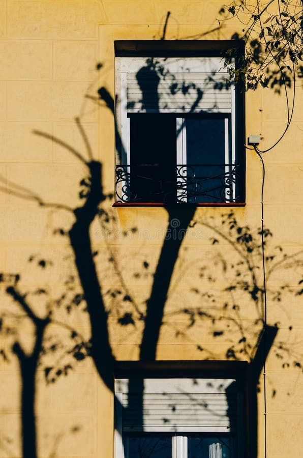 Vertical Shot of Tree Shadows on the Facade of a Yellow Apartment ...
