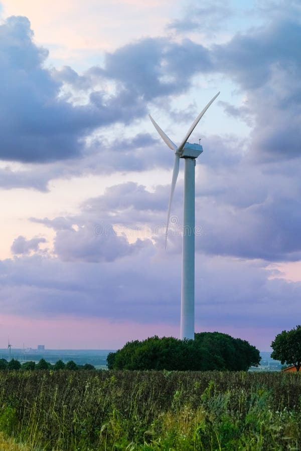 Vertical Shot of Trees Growing in Front of a Windmill on a Field in the ...