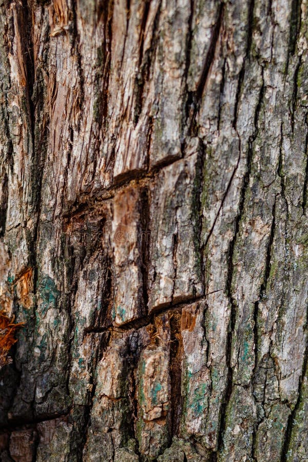 Shot of Scratches on Red Car Stock Photo - Image of scratch, bright ...