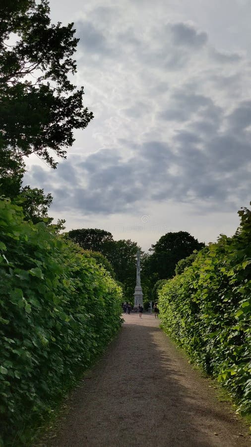 Vertical Shot of an Unpaved Path in the Park with Low Trees Lines Under ...