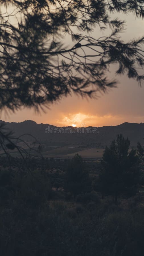 Vertical Shot of a Vast Landscape with the Sun Setting Down Behind the ...