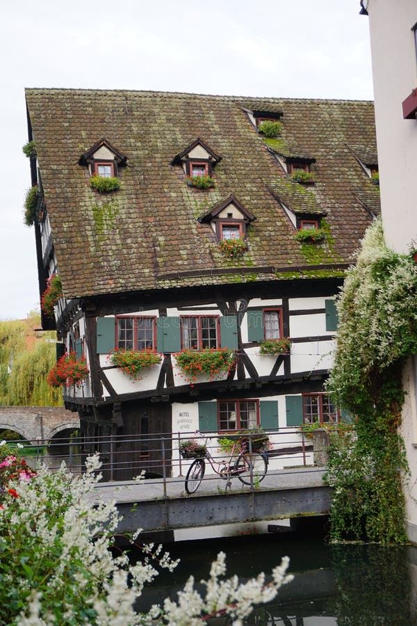 Vertical Shot of a Vintage Rustic-style House with Moss and Windows on ...
