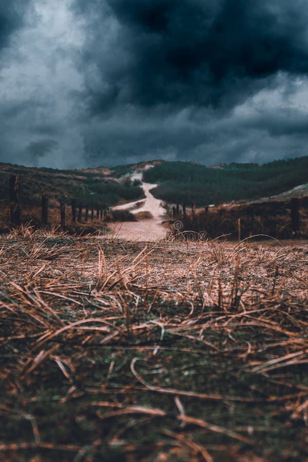Vertical Shot of a Walking Path in the Mountains in the Stormy Weather ...