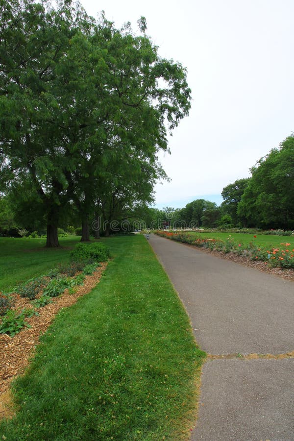 Vertical Shot of a Walking Trail Leading through a Park Stock Photo ...