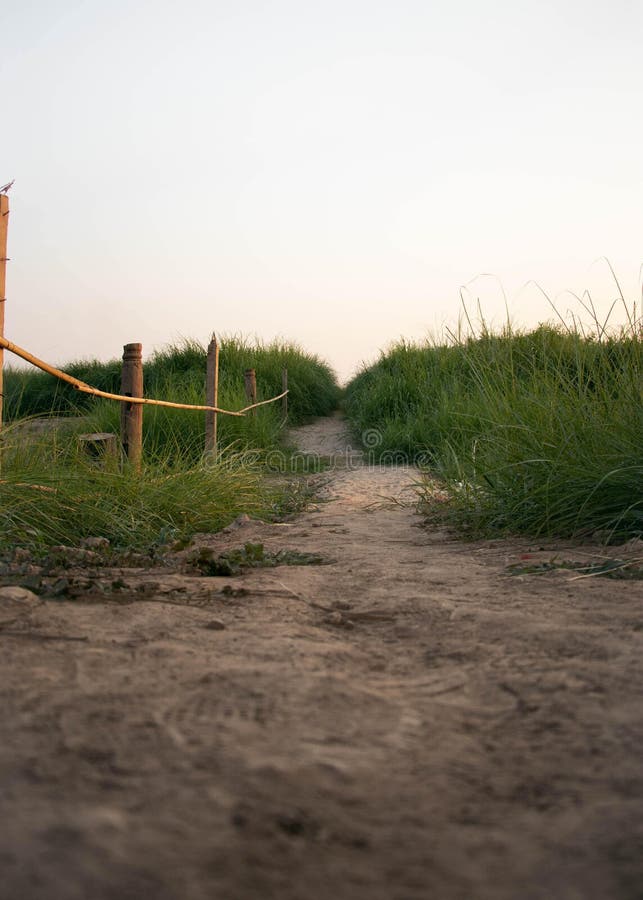 Vertical shot of a walkway stock photo. Image of view - 233659550