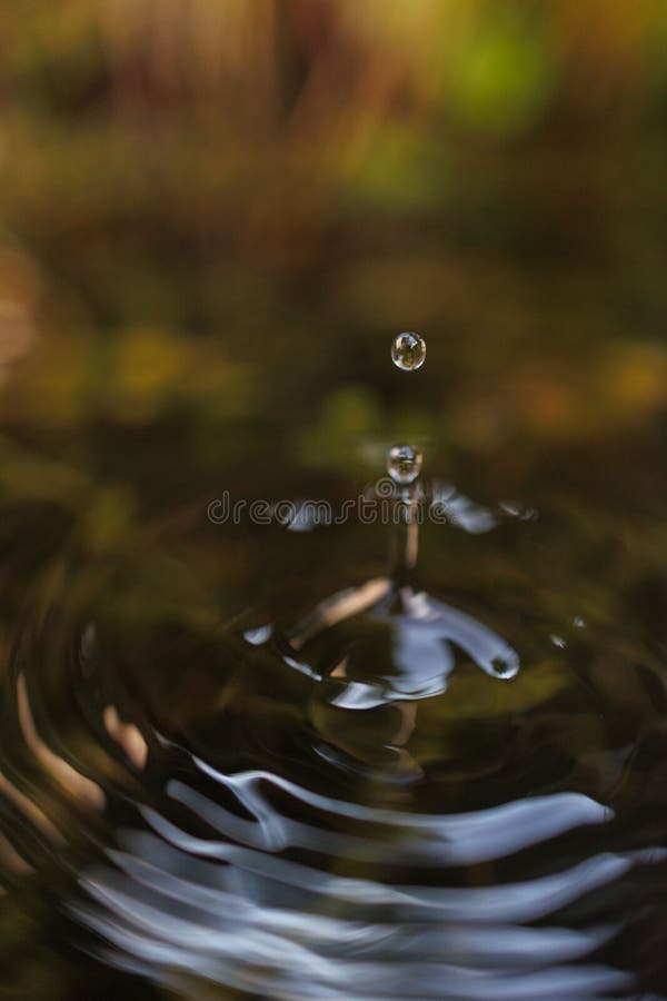 Vertical Shot of a Water Drop Splashing in a Pond Surface Stock Image ...