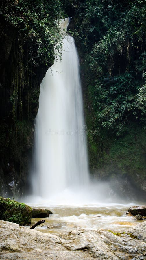 Vertical Shot of a Waterfall Stock Photo - Image of waterfall, fresh ...
