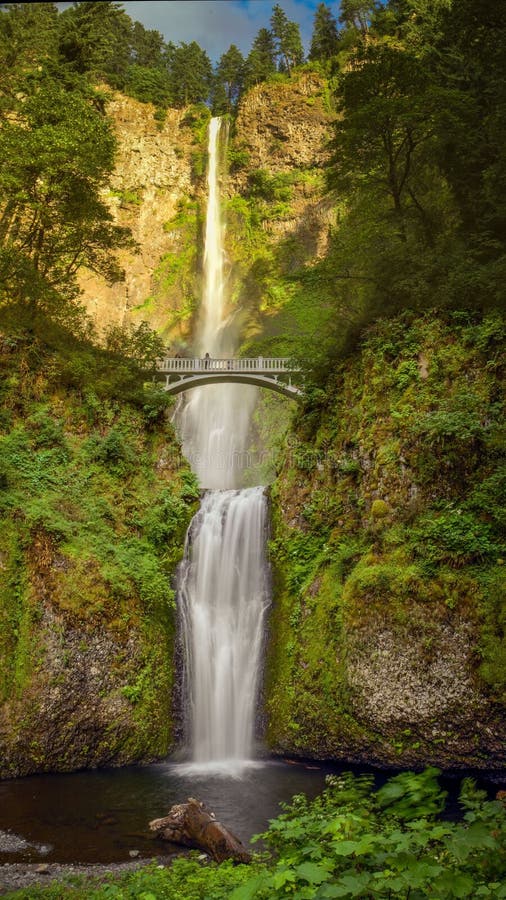 Vertical Shot of a Waterfall Stock Image - Image of waterfall, nature ...