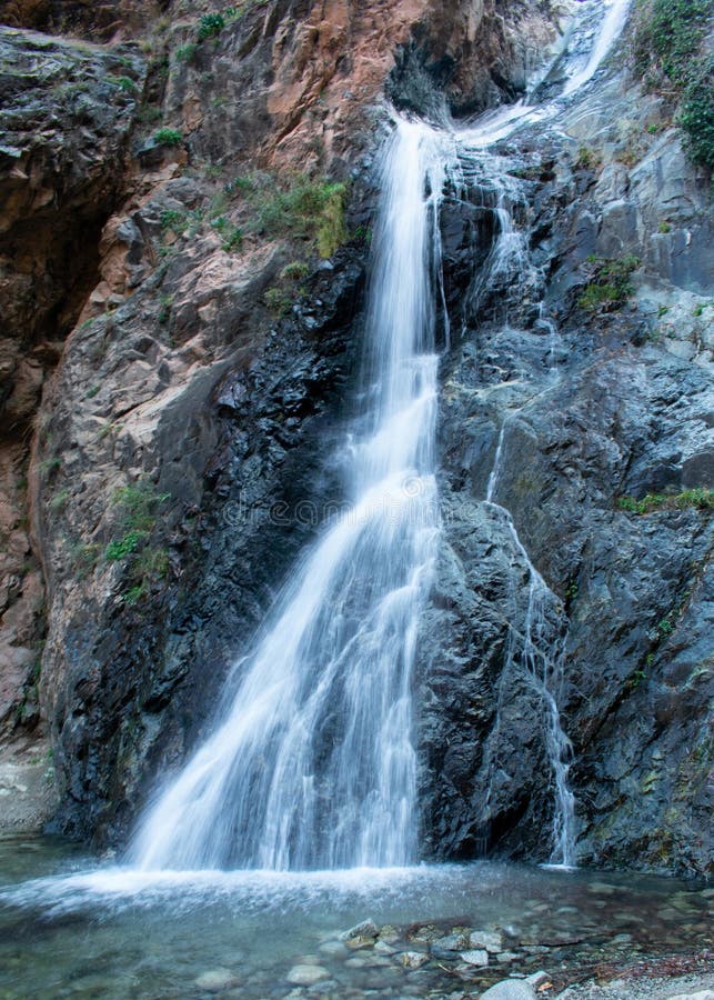 Waterfall Coming through the Forest Surrounded by Trees Stock Photo ...
