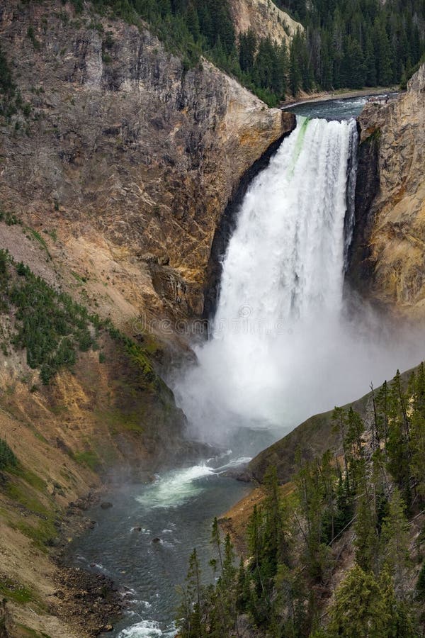 Vertical Shot of the Waterfall Flowing Over the Rock with Forest Trees ...