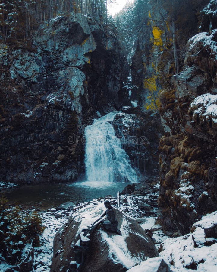 Vertical Shot of a Waterfall Going Down the Rocks Surrounded by Trees ...