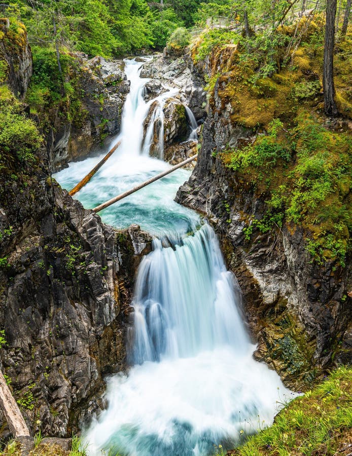 Vertical Shot of a Waterfall in Little Qualicum Falls Provincial Park ...