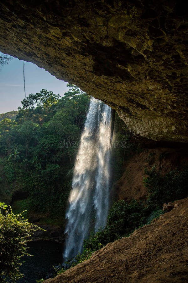 Vertical Shot of a Waterfall in a Nature Reserve Stock Photo - Image of ...