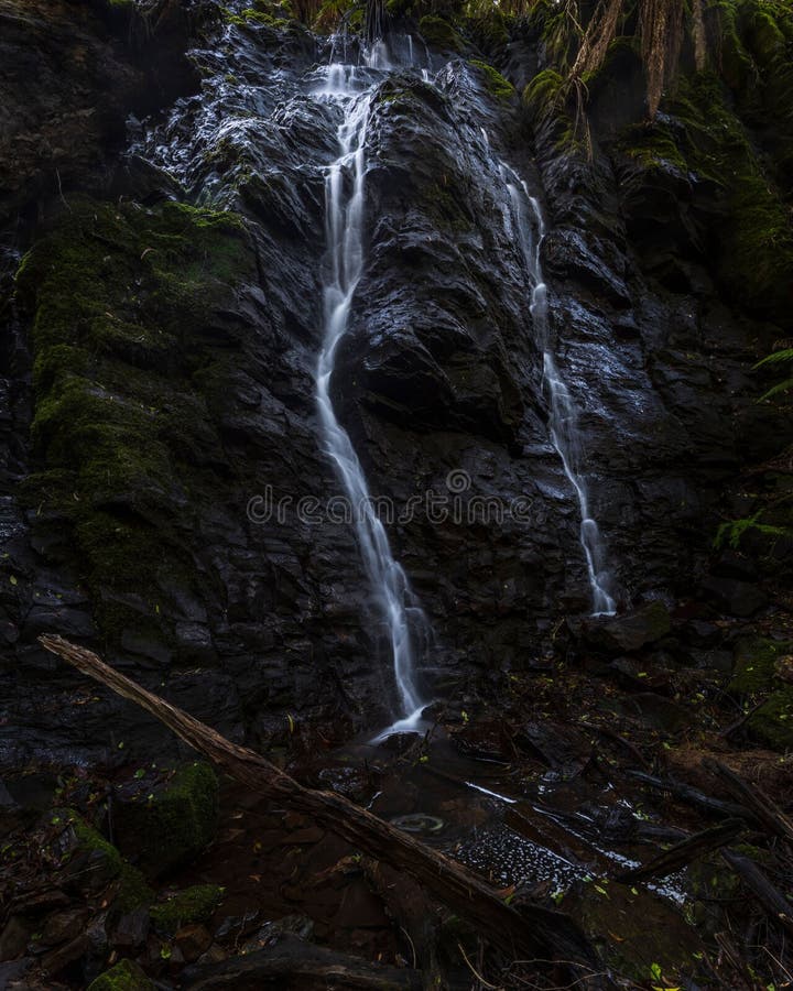 Vertical Shot of a Waterfall Stream Surrounded by Moss Stock Image ...