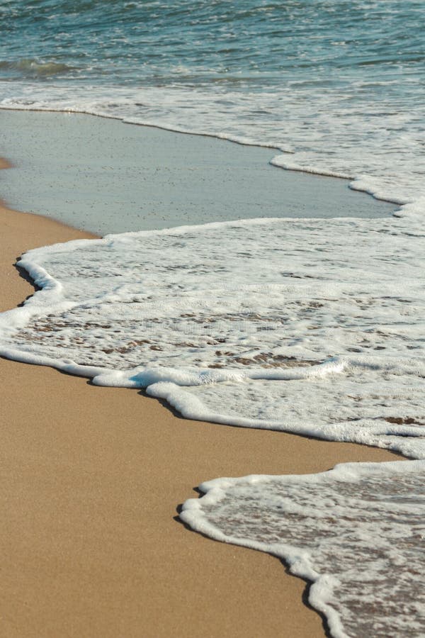 Vertical Shot of Waves Brushing the Seashore - Perfect for a Natural ...