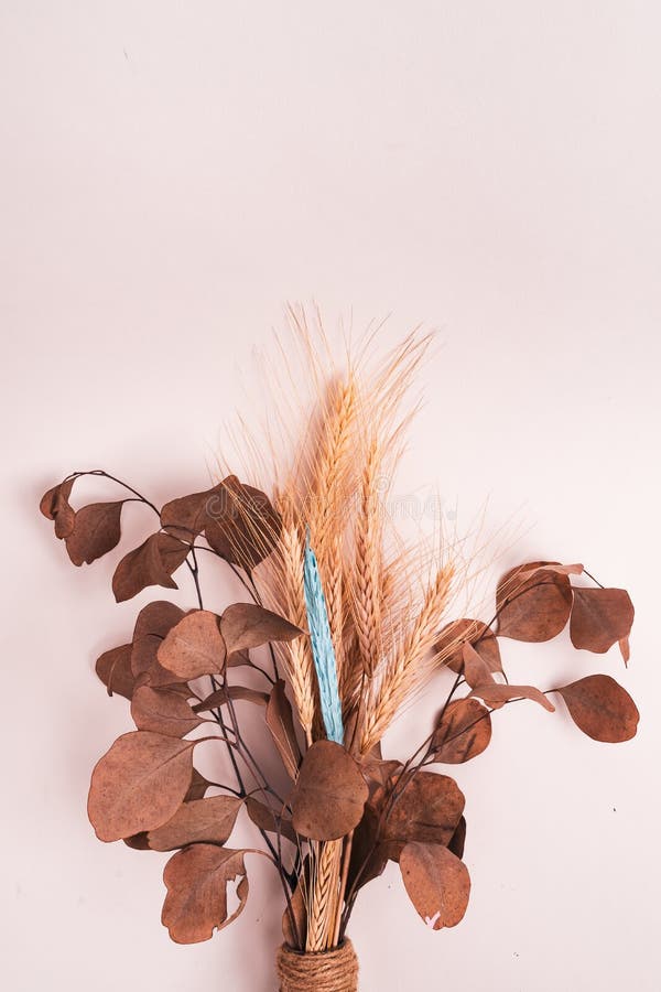 Vertical Shot of Wheat Branches and Dry Leaves on a Light-colored ...