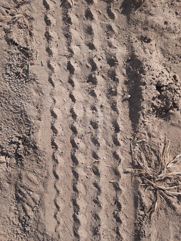 Vertical Shot of Wheel Track on Soil Ground Stock Image - Image of ...
