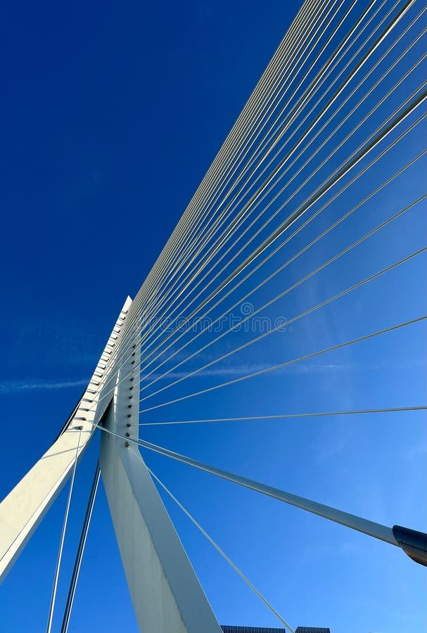 Vertical Shot of White Cable-stayed Architecture Bridge Erasmusbrug ...