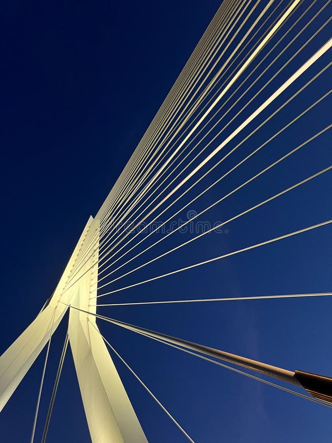 Vertical Shot of White Cable-stayed Architecture Bridge Erasmusbrug ...