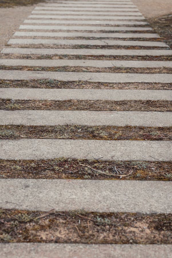 Vertical Shot of White Lines on a Road Crossing Stock Photo - Image of ...