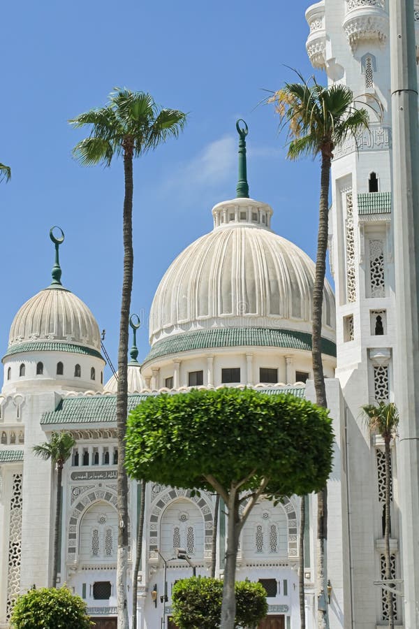 Vertical Shot of a White Mosque with Palm Trees Stock Photo - Image of ...