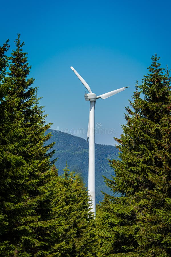 Vertical Shot of a Wind Turbine Surrounded by Pine Trees with a Blue ...