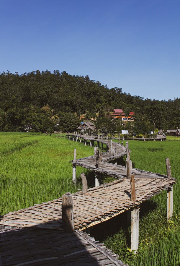 Winding Boardwalk on Michigan Beach Stock Image - Image of beautiful ...