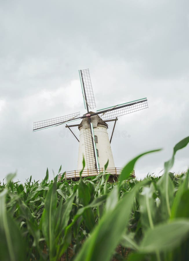 Vertical Shot of a Windmill on a Field on a Cloudy Day Stock Photo ...