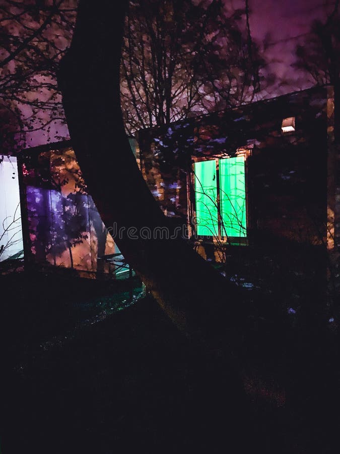 Vertical Shot of the Window of a Building Behind a Big Tree Captured at ...