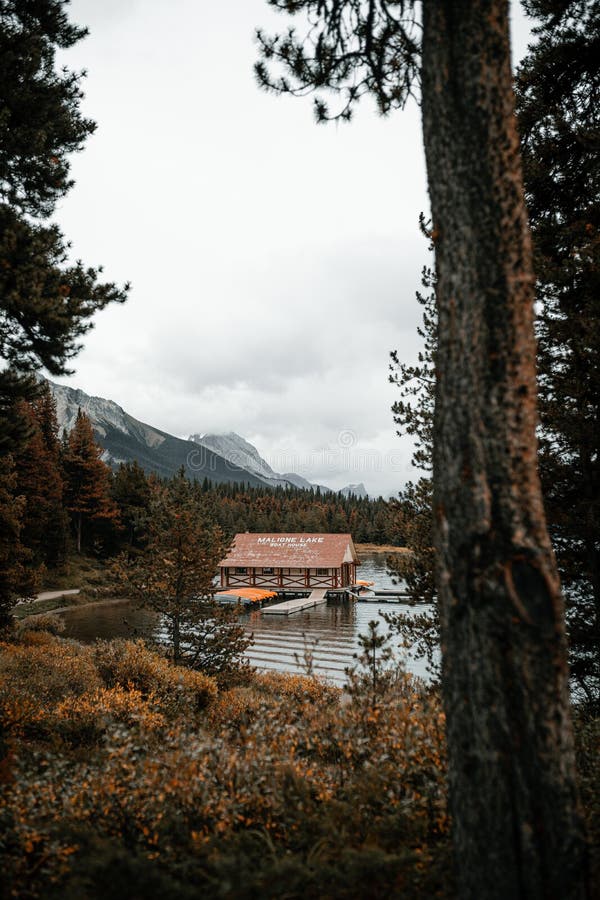 Vertical Shot of a Wooden Cabin in Mountains Editorial Photography ...