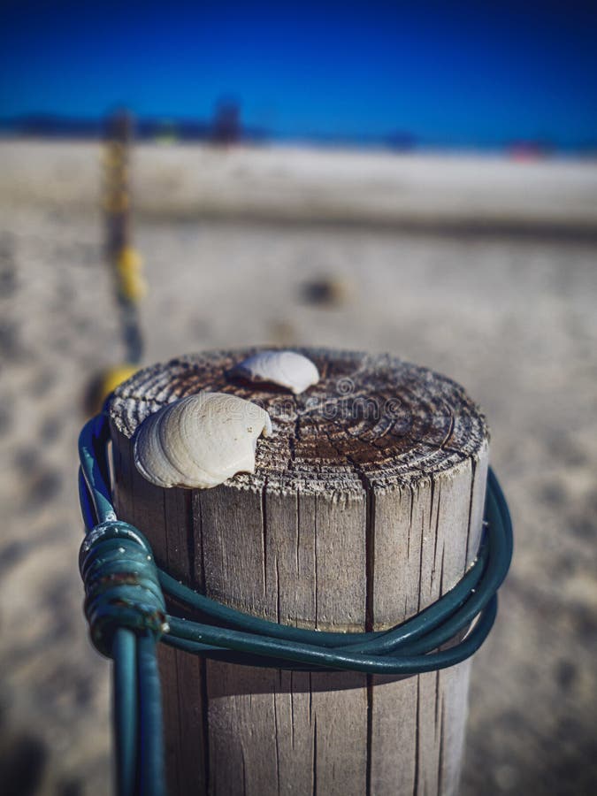 Vertical Shot of Wooden Post Tied with Rope and Shell on Top Stock ...