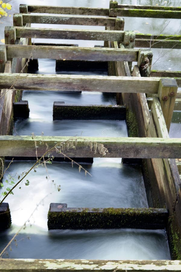 Vertical Shot of Wooden Stairs Stock Image - Image of ladder, stair ...
