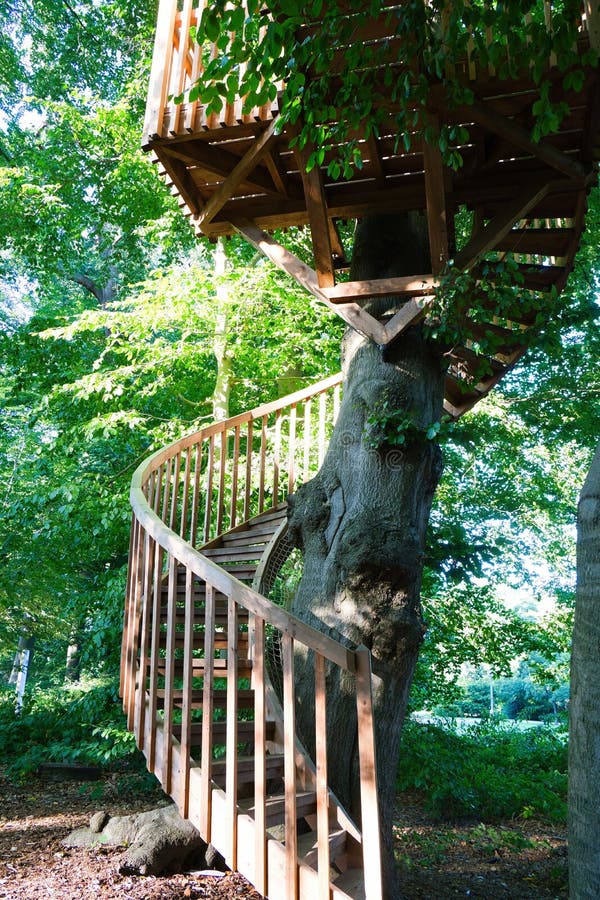 Vertical Shot of Wooden Tree Staircases Going Up Stock Image - Image of ...